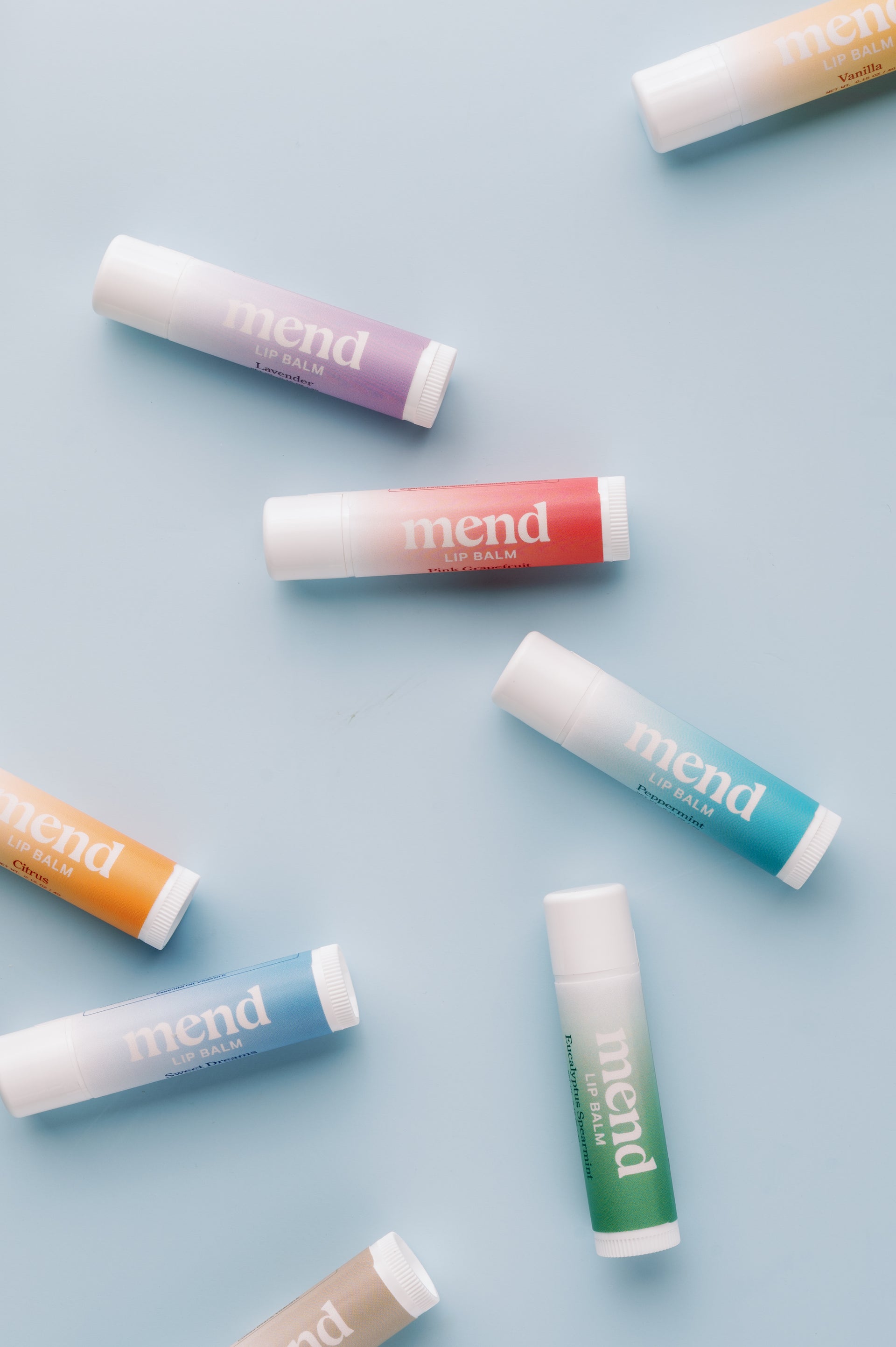 Mend Lip Balm